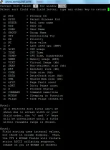 Unix Top Command Explained (With Examples)