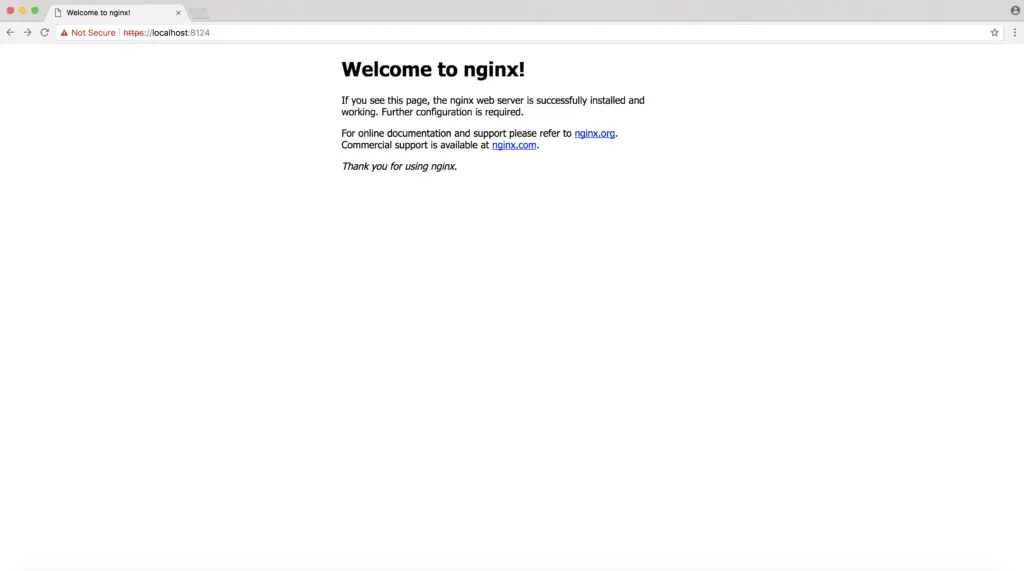Nginx Docker Container with HTTPS protocol