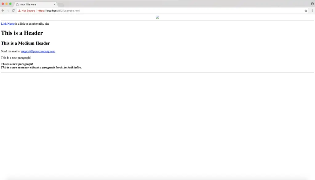 Nginx Docker Container With Protocol