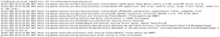 How to Setup Mutual TLS (Ultimate Guide With Steps)