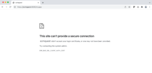 How to Setup Mutual TLS (Ultimate Guide With Steps)