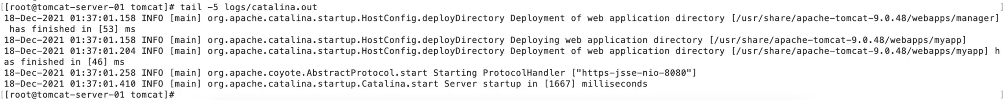 How to Setup Mutual TLS (Ultimate Guide With Steps)