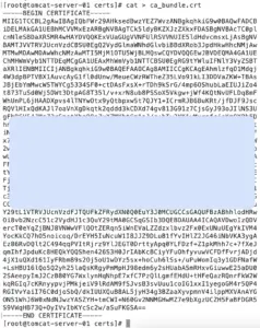 How to Setup Mutual TLS (Ultimate Guide With Steps)